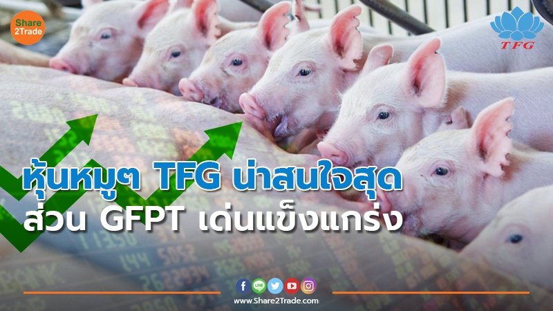 หุ้นหมูๆ TFG น่าสนใจสุด ส่วน GFPT เด่นแข็งแกร่ง | Share2Trade